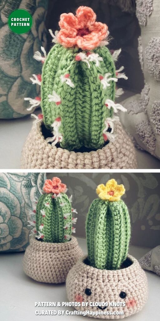 6 Amazing Crochet Cactus Patterns To Make - Crafting Happiness